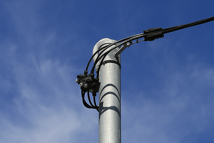 Bushfire prevention - Ausgrid